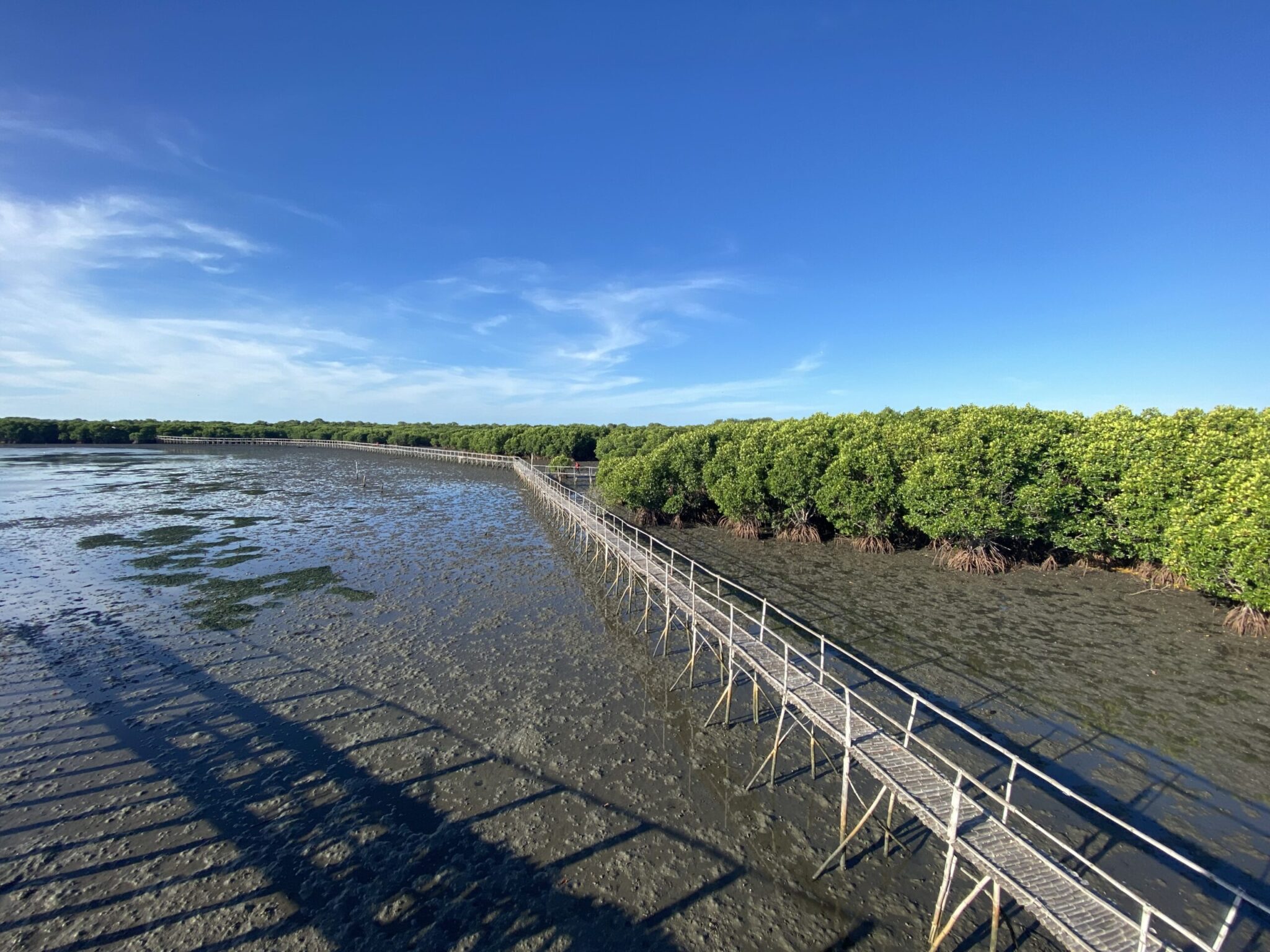 Bangrin Marine Protected Area - See Pangasinan