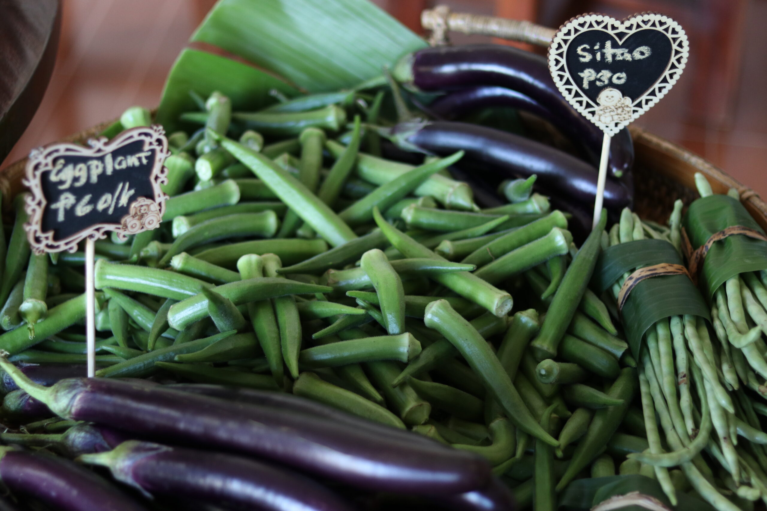 Agro-Technical Assistance and Livelihood Opportunities in the North ...