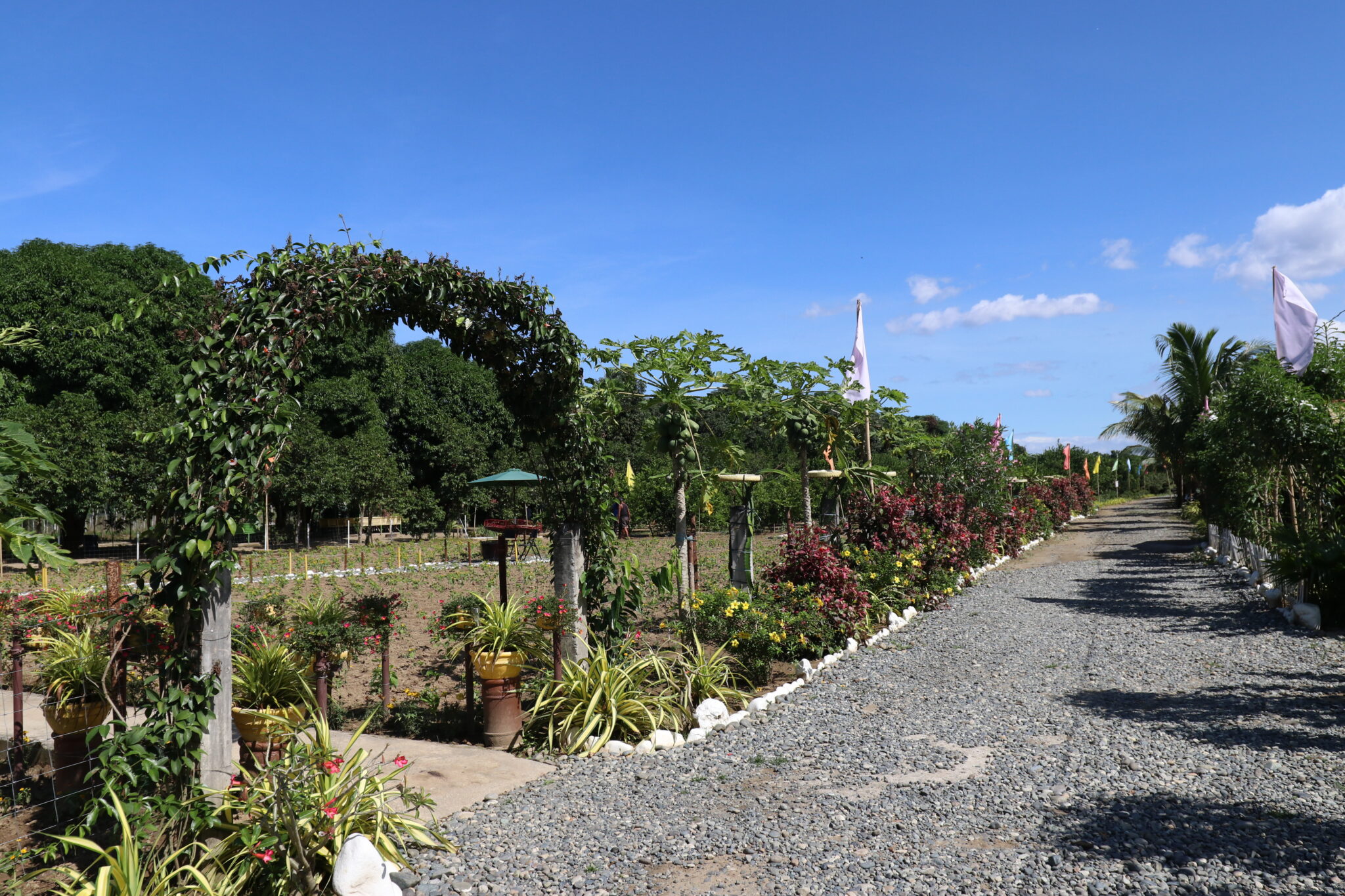 Asingan Agri-Tourism Park - See Pangasinan