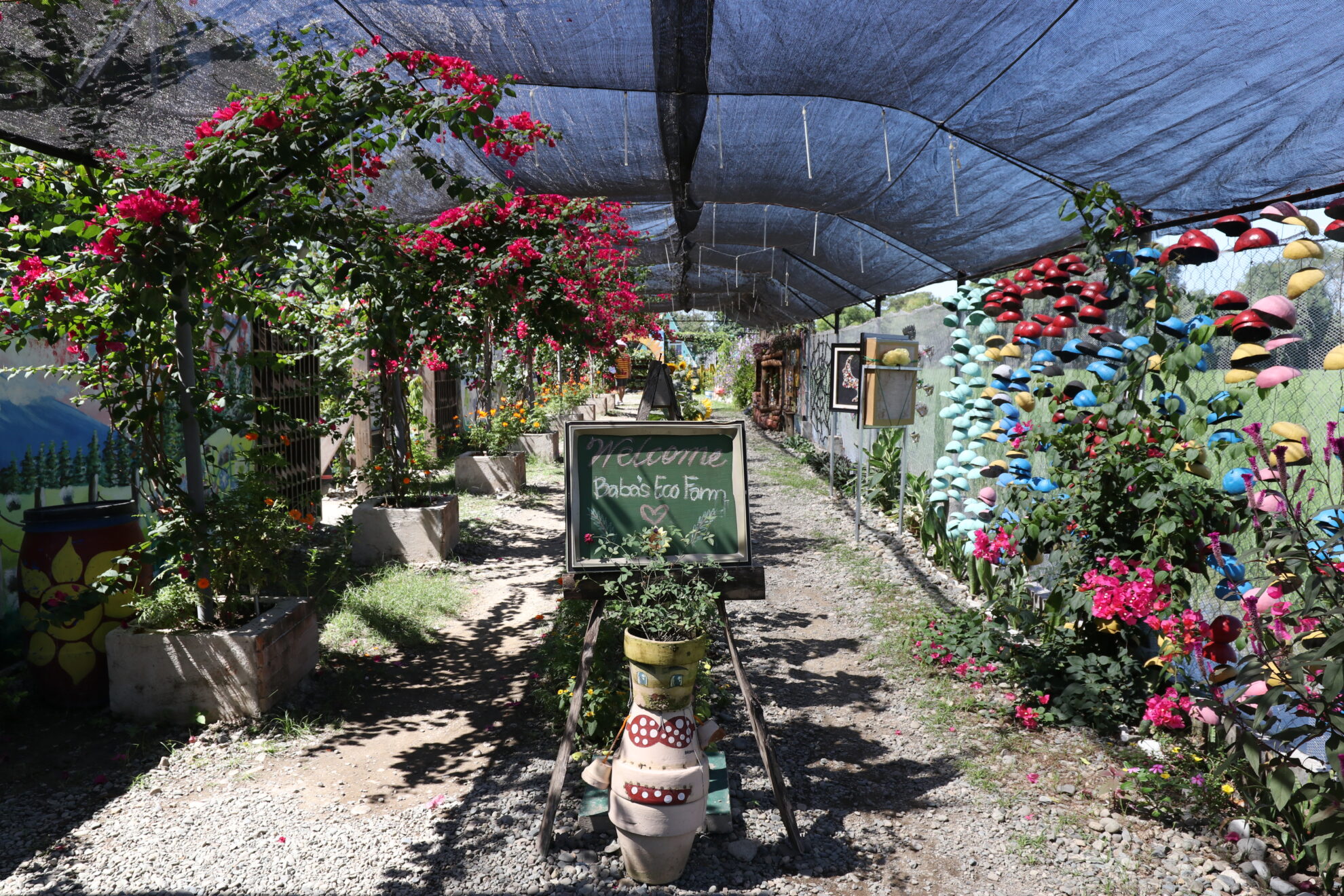 Baba's Eco Farm - See Pangasinan