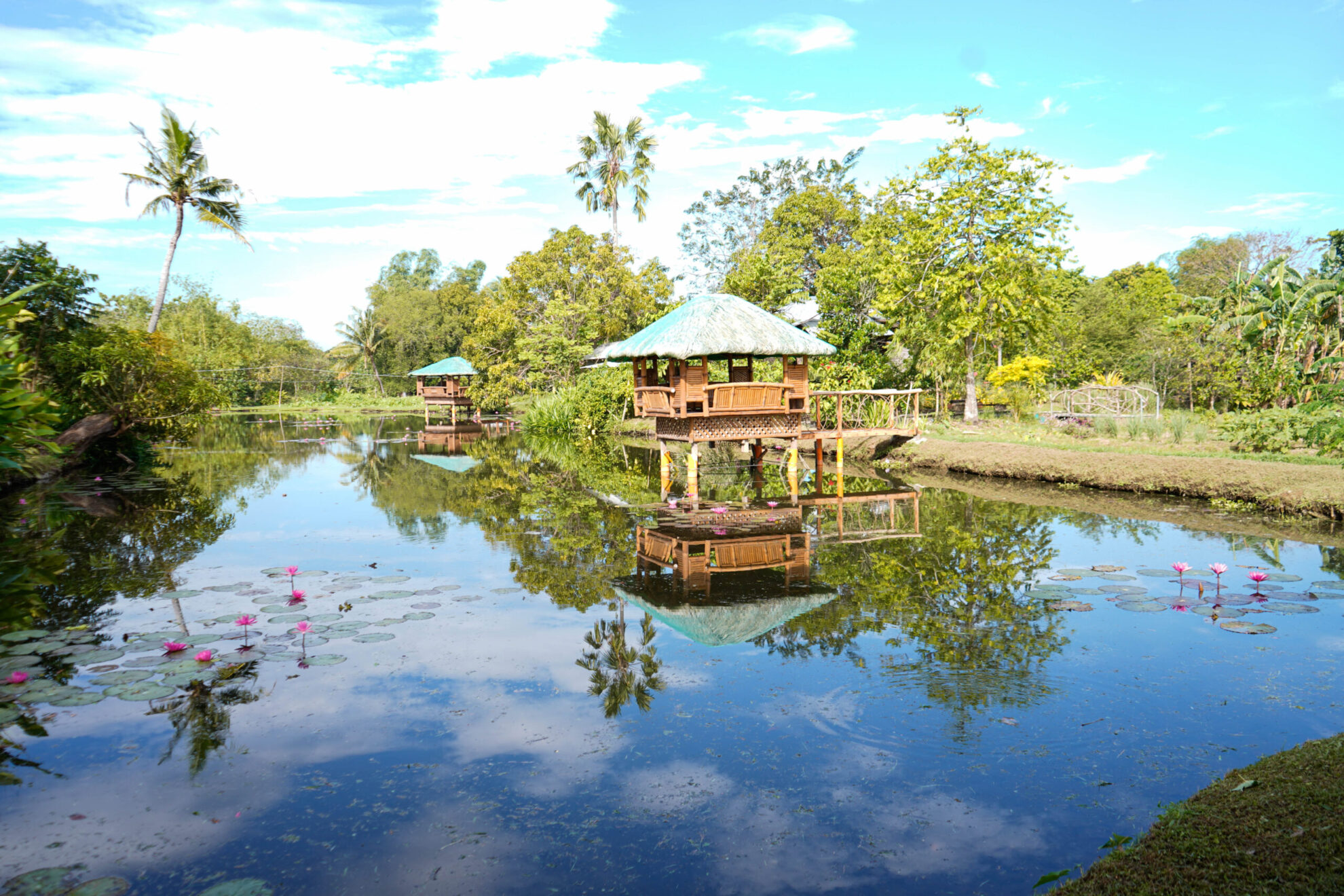 Maria's Luntiang Bukid - See Pangasinan