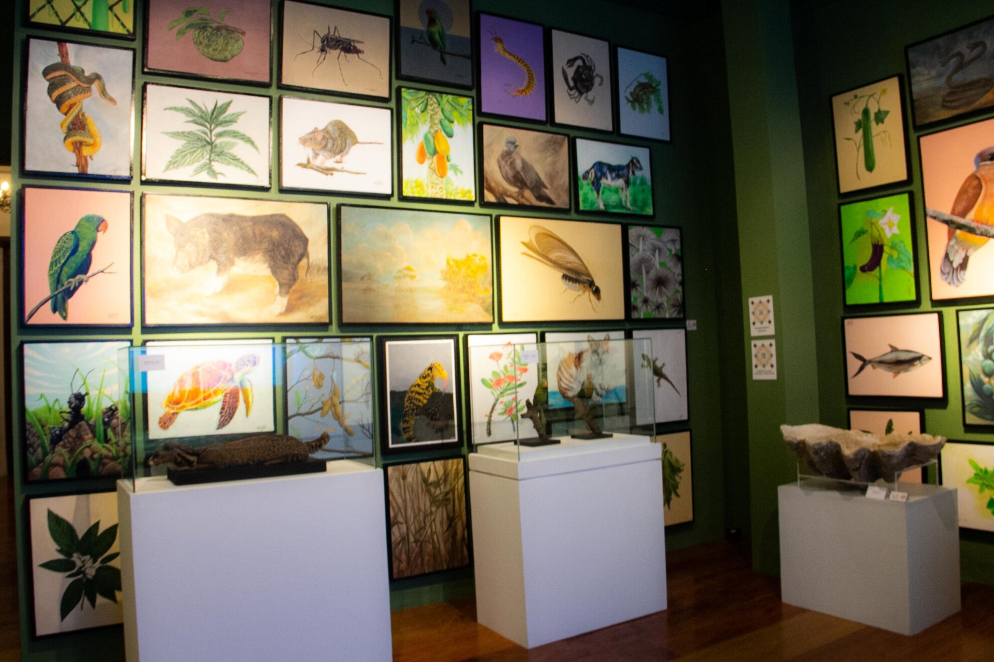 Banáan Pangasinan Provincial Museum - See Pangasinan